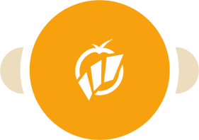 Optimize with Custom Features in Make.com - Flows Systems